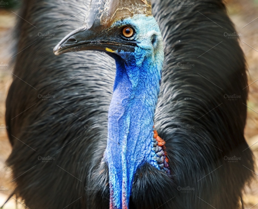 Walkabout Wildlife Sanctuary: Explore and Learn - Walkabout Wildlife ...