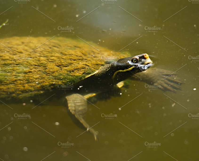 Walkabout Wildlife Sanctuary: Explore and Learn - Walkabout Wildlife ...