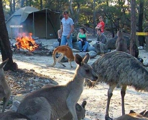 Walkabout Wildlife Sanctuary: Explore and Learn - Walkabout Wildlife ...
