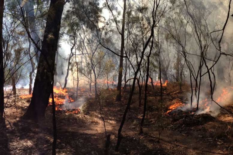 Aboriginal Cultural Burning – Walkabout Wildlife Sanctuary