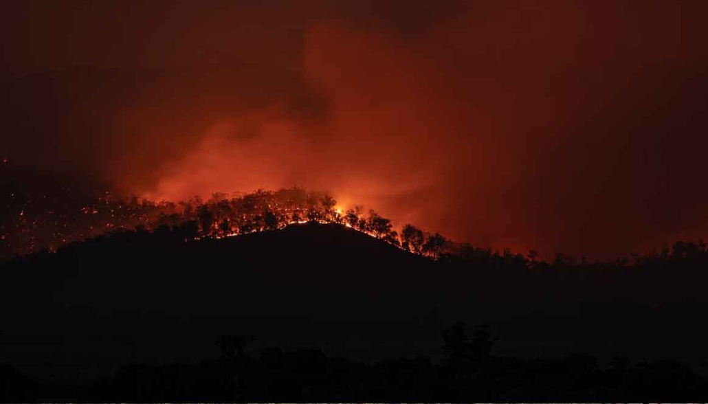 Bushfires in Australia – Walkabout Wildlife Sanctuary