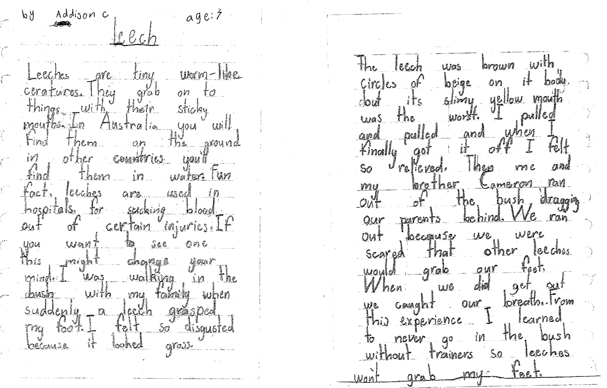 Leeches – Walkabout Wildlife Sanctuary